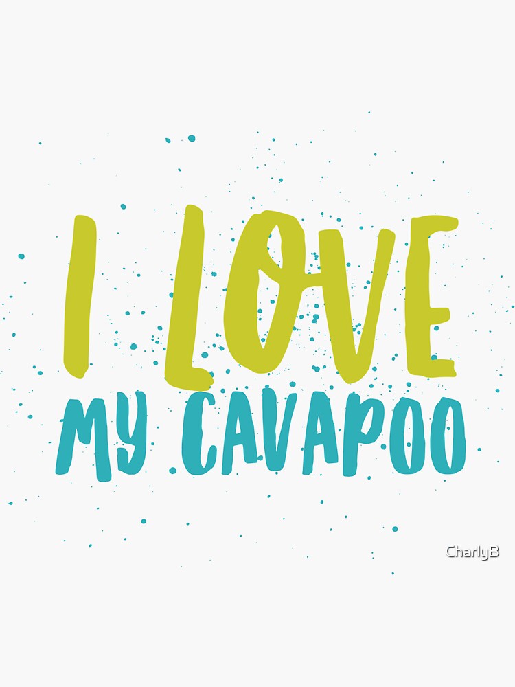 "I love my cavapoo" Sticker by CharlyB | Redbubble