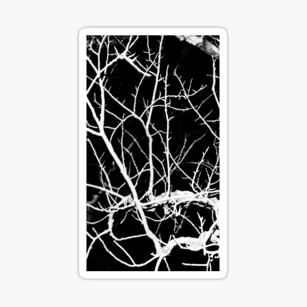 "Dark forest night" Sticker by egortel | Redbubble