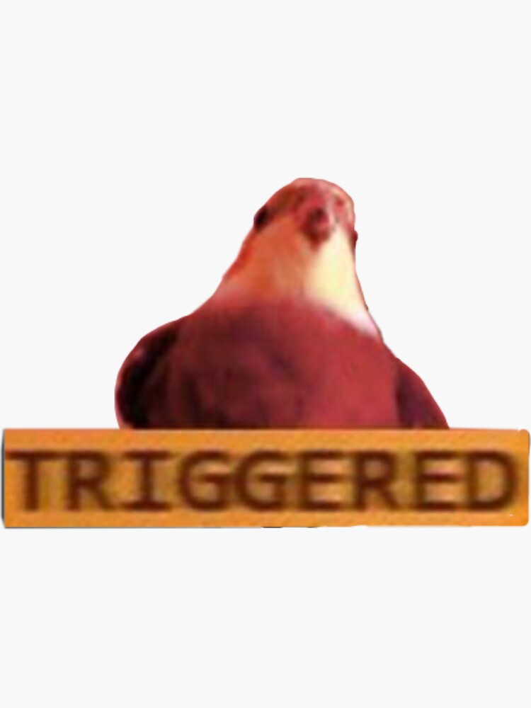 "triggered bird meme" Sticker for Sale by celestivl | Redbubble