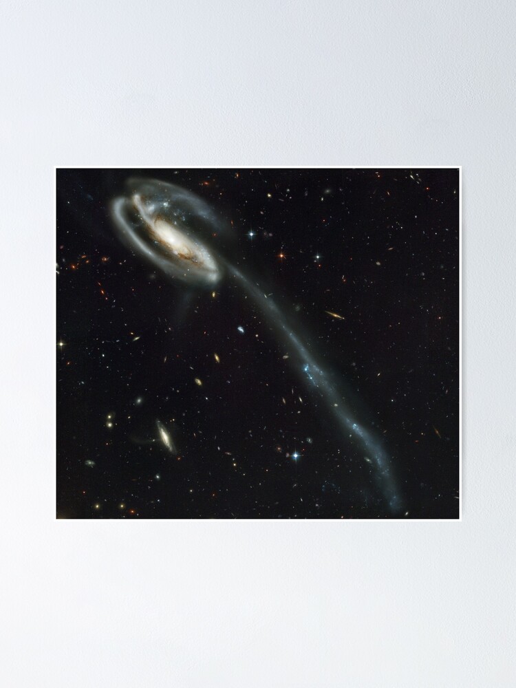 "Tadpole Galaxy (UGC 10214) - Stunning backdrop of a runaway galaxy in ...