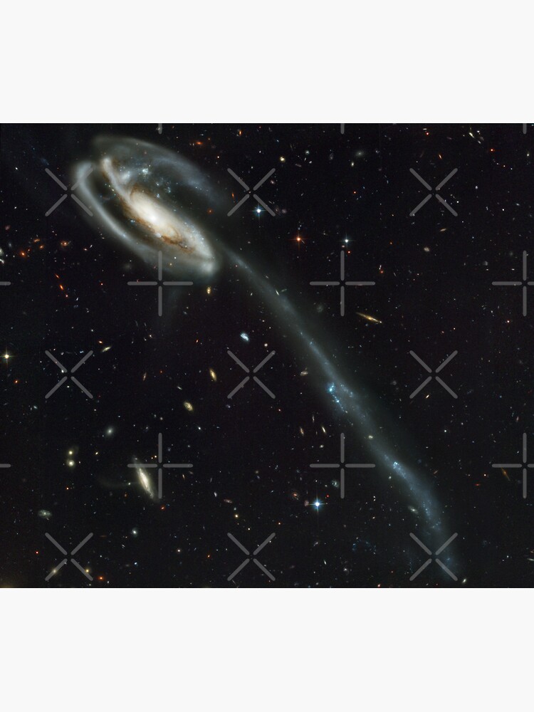 "Tadpole Galaxy (UGC 10214) - Stunning backdrop of a runaway galaxy in ...