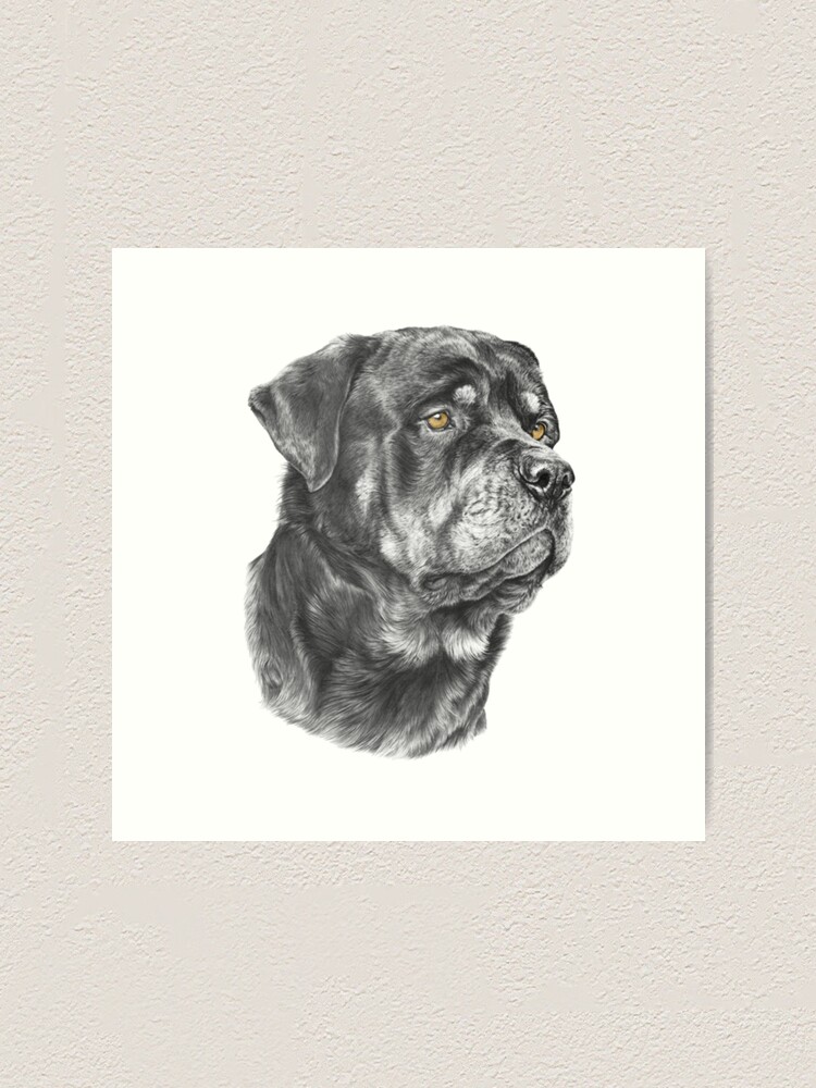 "Cane Corso : Cane Corso Face " Art Print for Sale by LiloPaul | Redbubble