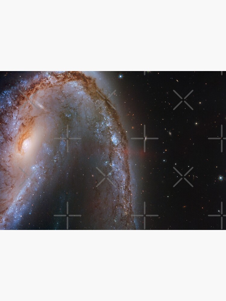 "Meathook Galaxy (NGC 2442) - Cosmic Fireworks in the constellation of Volans" Photographic ...