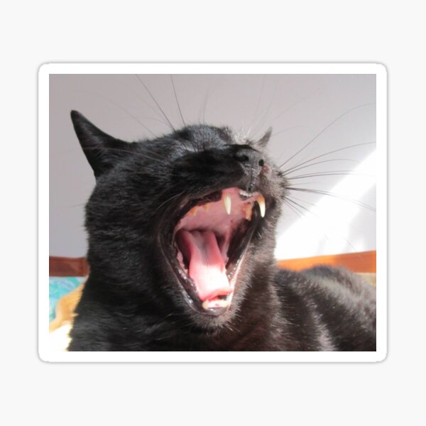 "Yawning" Sticker for Sale by PassionatePanda | Redbubble