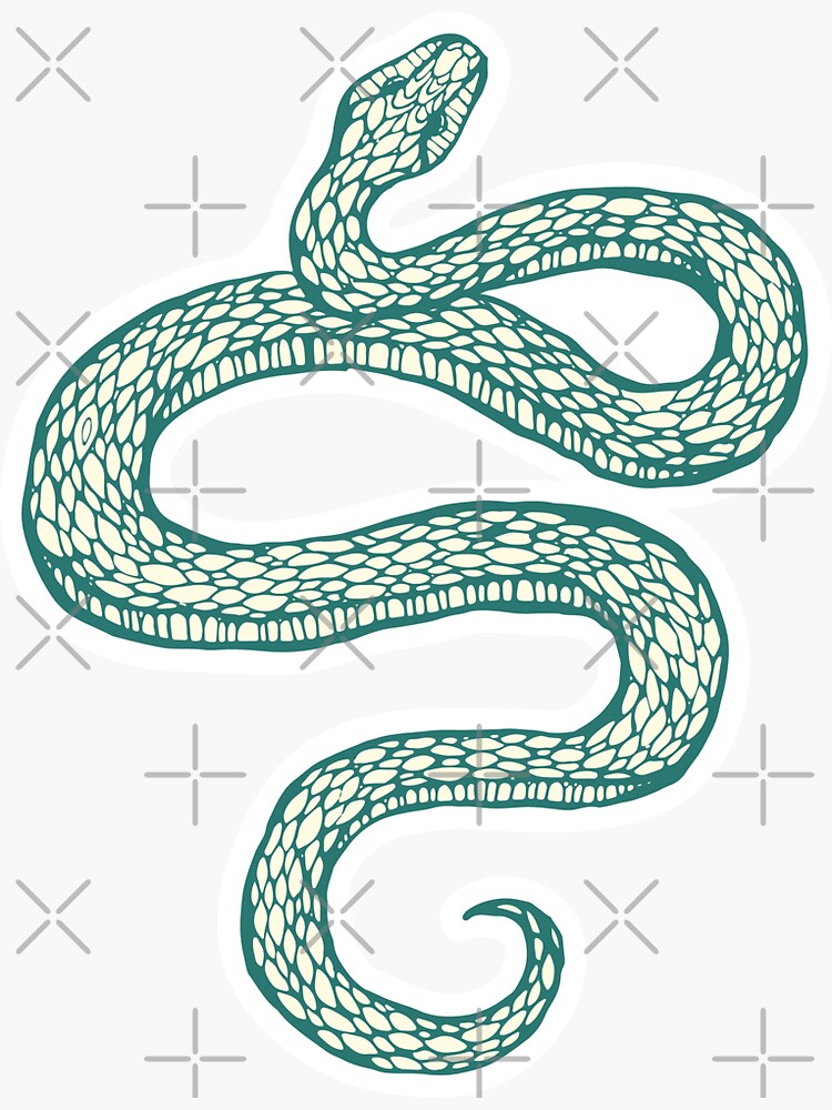 "Snakes" Sticker for Sale by Zhivova | Redbubble