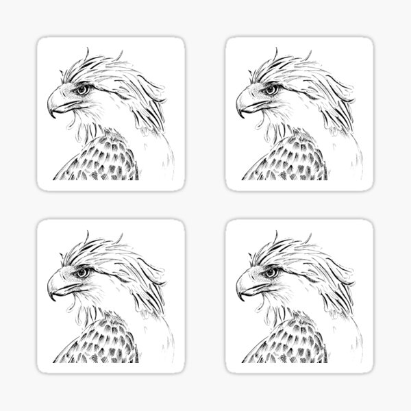 "Philippine Eagle" Sticker by JulieSpriddle | Redbubble
