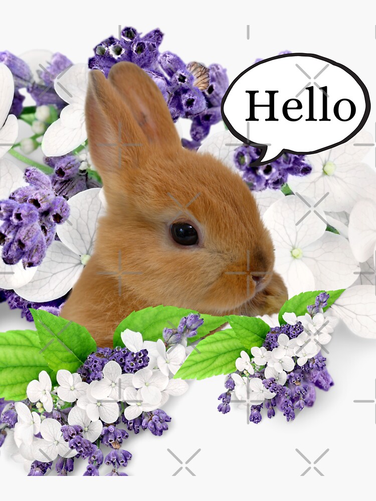 "Cute Bunny saying Hello to you" Sticker for Sale by gemini09 | Redbubble