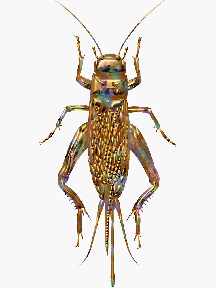 "Cricket bug" Sticker for Sale by Elonium | Redbubble