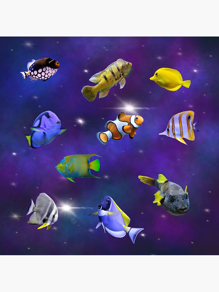 "Space Fish" Sticker for Sale by PoeTatoes | Redbubble