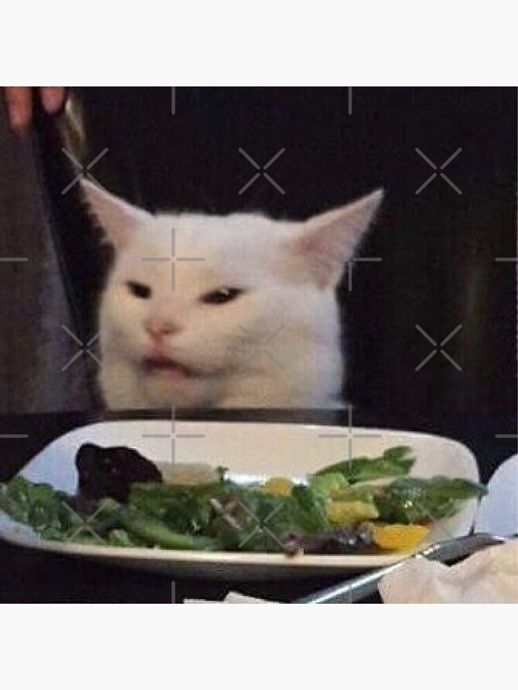 "Woman yelling at a cat Meme" Poster by theredfoxs | Redbubble