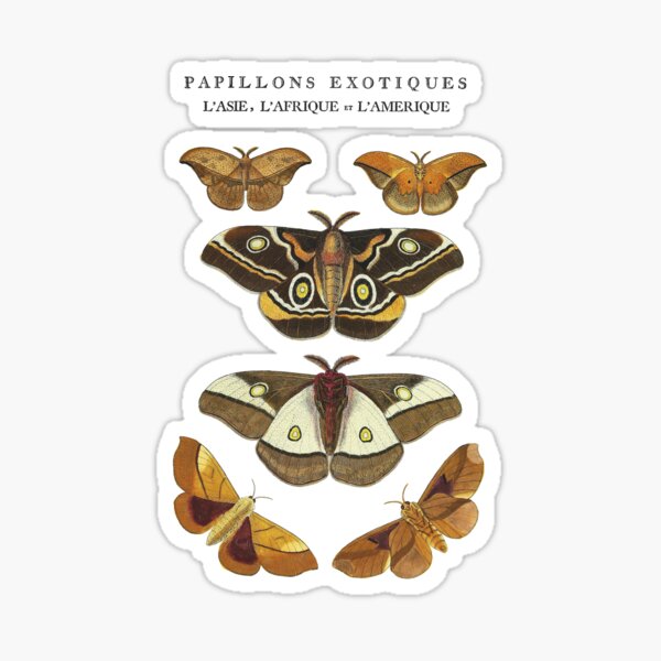 "Papillons Exotiques" Sticker for Sale by GeminiRising42 | Redbubble