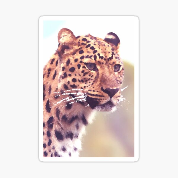 "Puma- Digital Paint" Sticker by delimaD5 | Redbubble