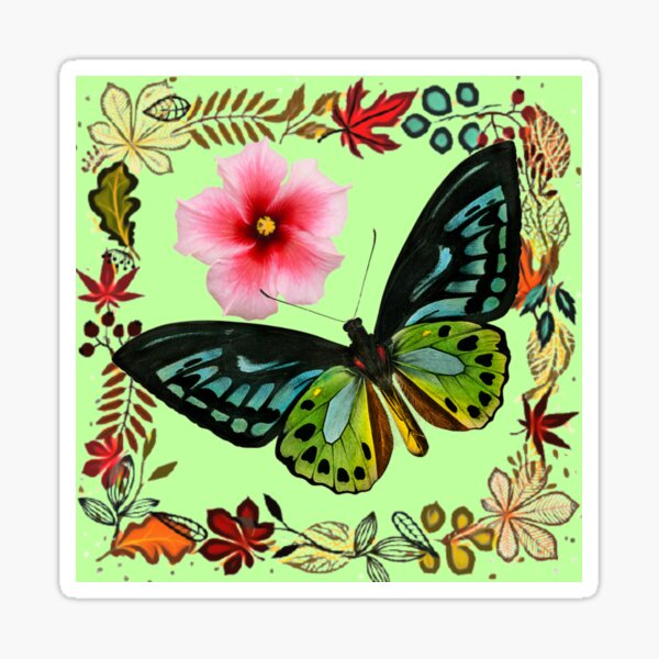 "Butterfly #22" Sticker by SarahPlace | Redbubble