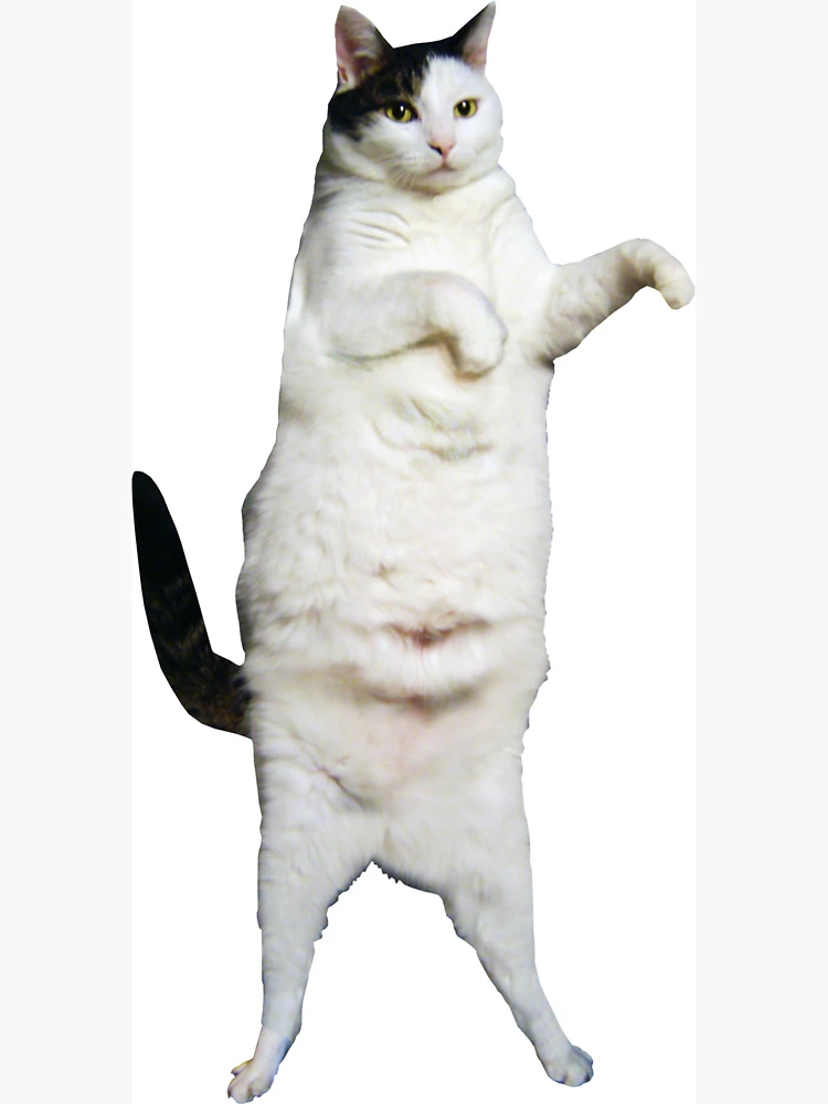 Kitty Cat Dance Sticker Of A Cartoon Cat Dancing, Cat, Kitten, Animals