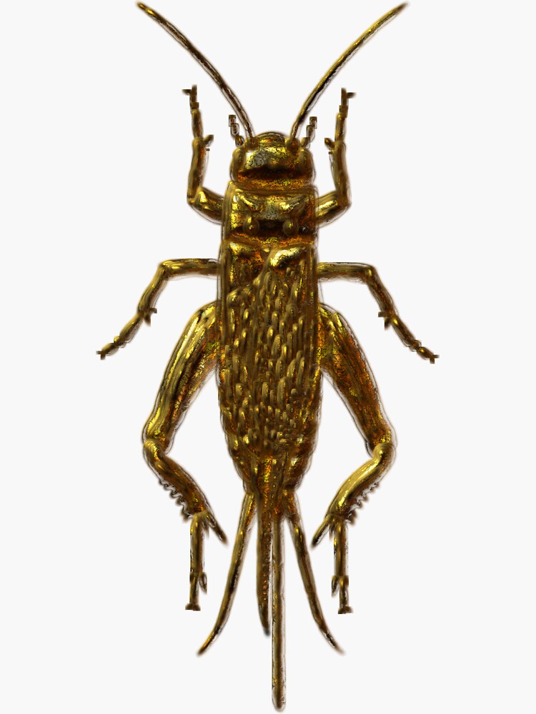 "Cricket bug" Sticker for Sale by Elonium | Redbubble