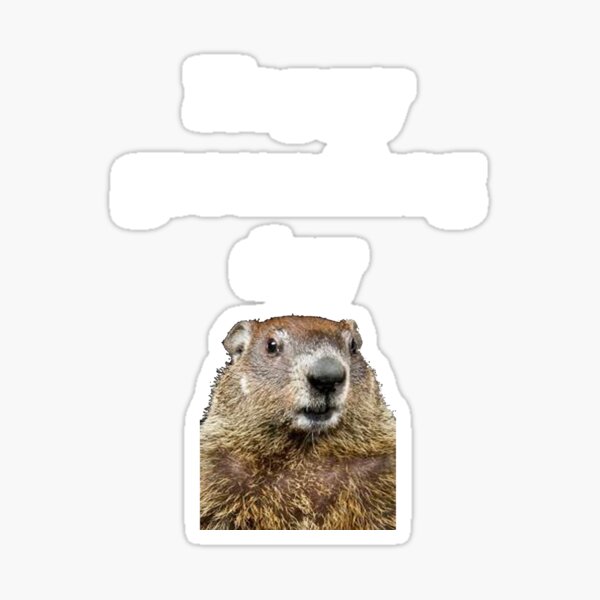 "happy groundhog day" Sticker for Sale by FaUzzn1TOKO | Redbubble