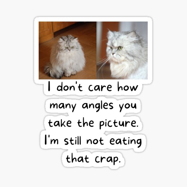 "Cat With Quote" Sticker by Romper65 | Redbubble