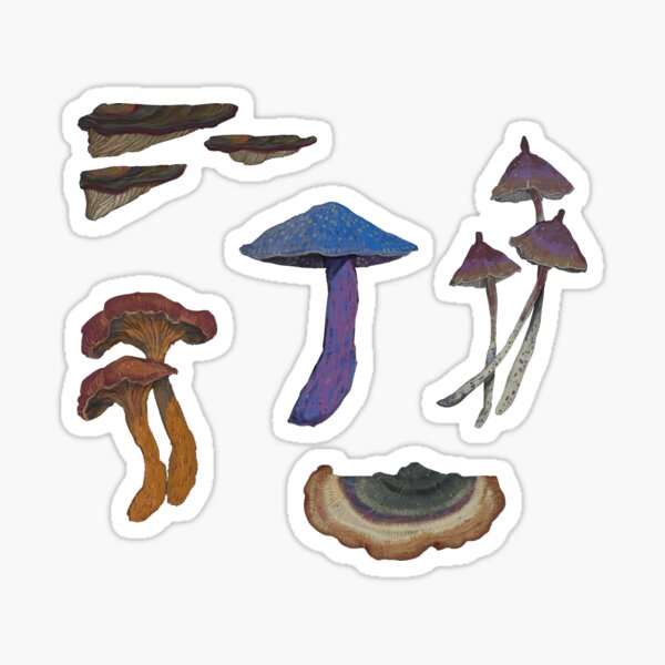 "Anguish Fungi " Sticker for Sale by woodenpencilbox | Redbubble