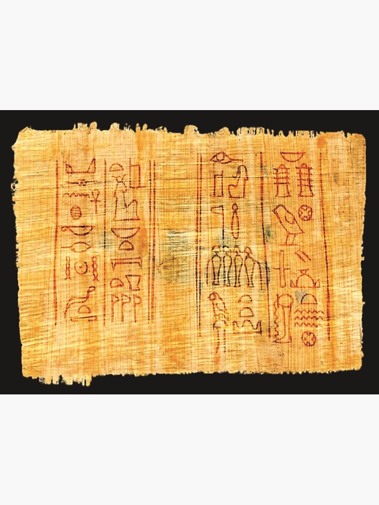 " Ancient papyrus with Egyptian hieroglyphs" Poster for Sale by saly110 ...