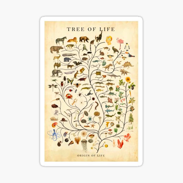 "Tree of Life Origin Of Life" Sticker by DanilAlvesy | Redbubble