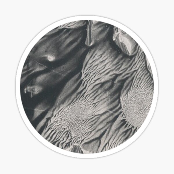 "dragonscale" Sticker by Kaityaki | Redbubble