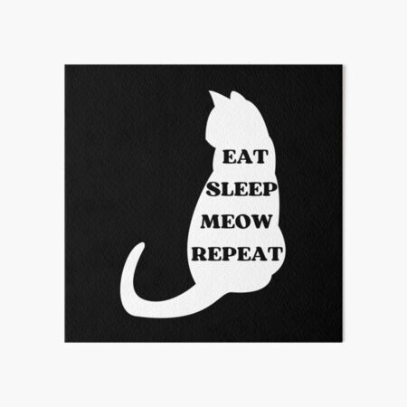 "EAT SLEEP MEOW REPEAT - Funny Cat Pictures with Captions and Cat ...