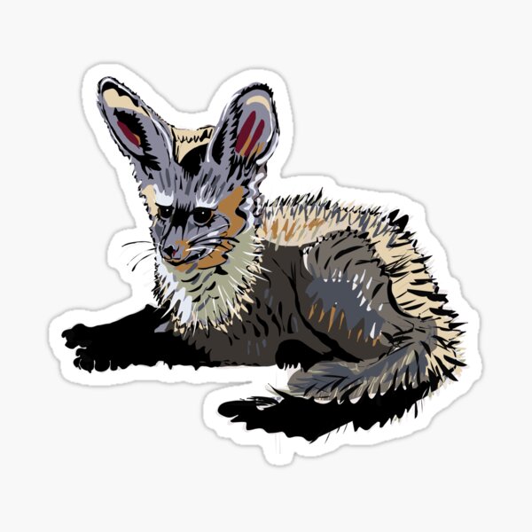 "Bat-eared Fox" Sticker for Sale by michdevilish | Redbubble