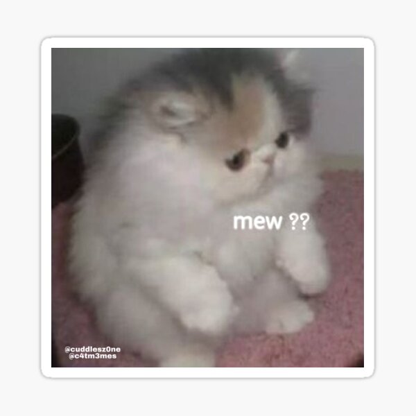 "mew " Sticker by cuddlesz0ne | Redbubble