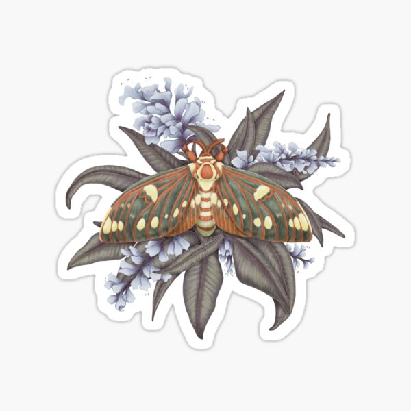 "Regal Moth with Purple Flowers" Sticker for Sale by sdawsonart | Redbubble