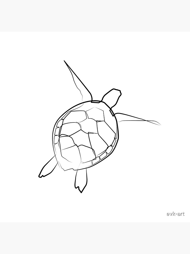 "One Line Art of Turtle" Art Print for Sale by evk-art | Redbubble