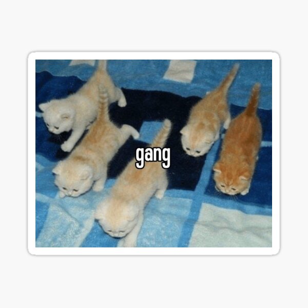 "Cute Feline Cat Gang" Sticker by Funnydankmemes | Redbubble