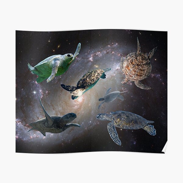 "Space Turtles" Poster for Sale by PoeTatoes | Redbubble