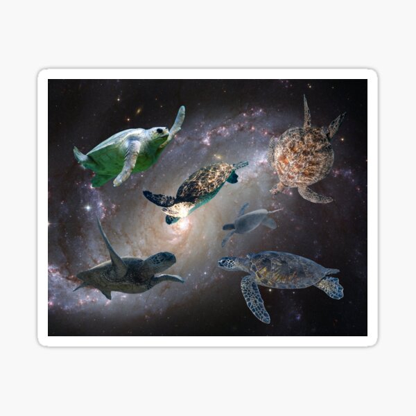 "Space Turtles" Sticker for Sale by PoeTatoes | Redbubble