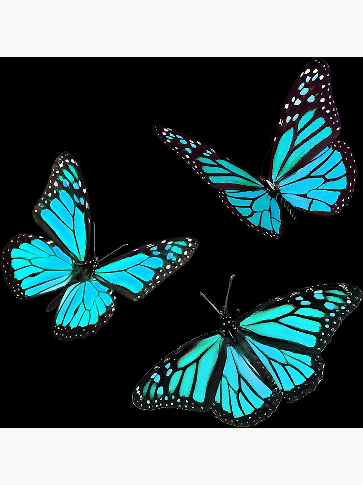 "monarch butterfly sticker pack blue" Poster for Sale by ihbct1657 ...