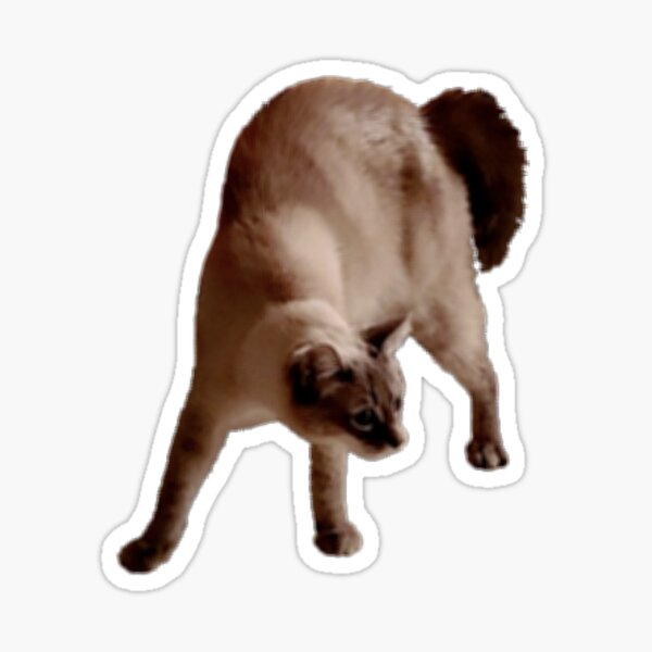 "cat stance" Sticker by themmrib | Redbubble