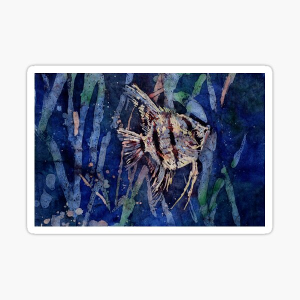 "Angelfish- watercolor painting" Sticker by rfoxphoto | Redbubble