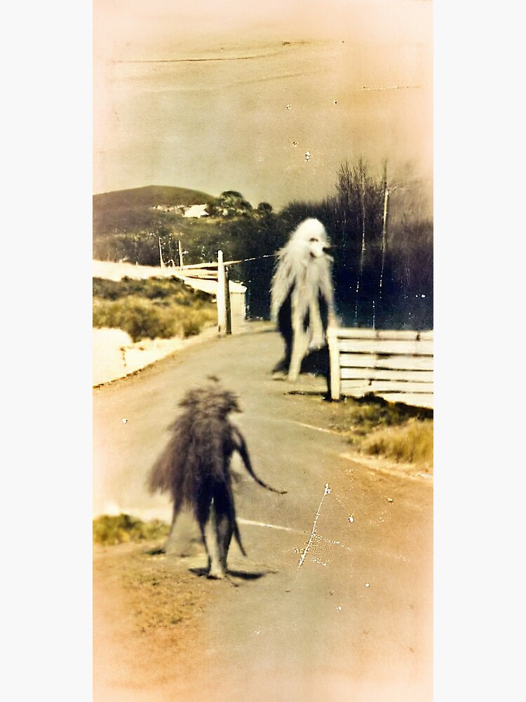 "A vintage photo of a skinwalker" Poster for Sale by kiertwice | Redbubble