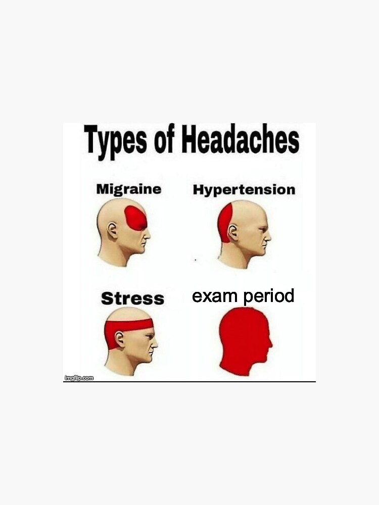 "Types of Headaches Exam Bunny Meme" Magnet by TheNordicDesign | Redbubble