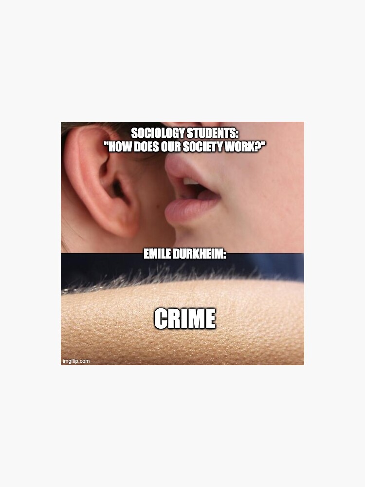 "Emile Durkheim sociology goosebumps meme" Magnet by TheNordicDesign ...