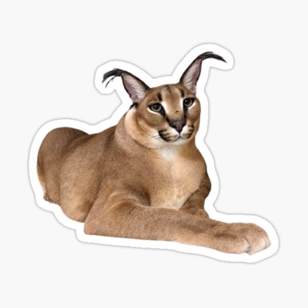 "Just Big Floppa" Sticker for Sale by MemeDealer3 | Redbubble