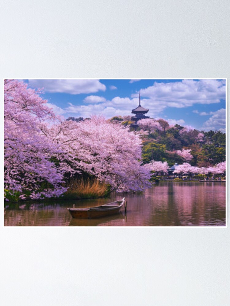 "Falling Sakura Cherry Blossom" Poster for Sale by Dbanksdesign | Redbubble