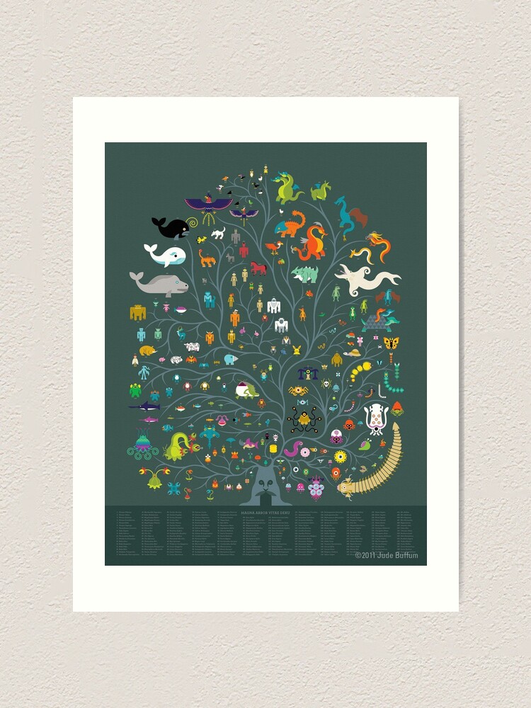 "Evolution Biology Collage" Art Print for Sale by 72janafrueh | Redbubble