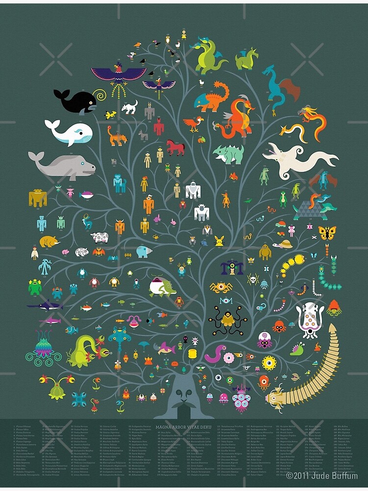 Poster « Collage de biologie de l'évolution », par 72janafrueh | Redbubble