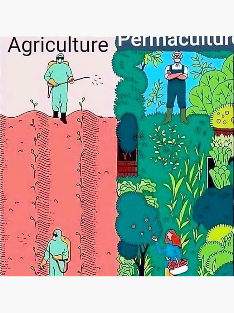 "Agriculture vs permaculture " Poster for Sale by SpArtk | Redbubble