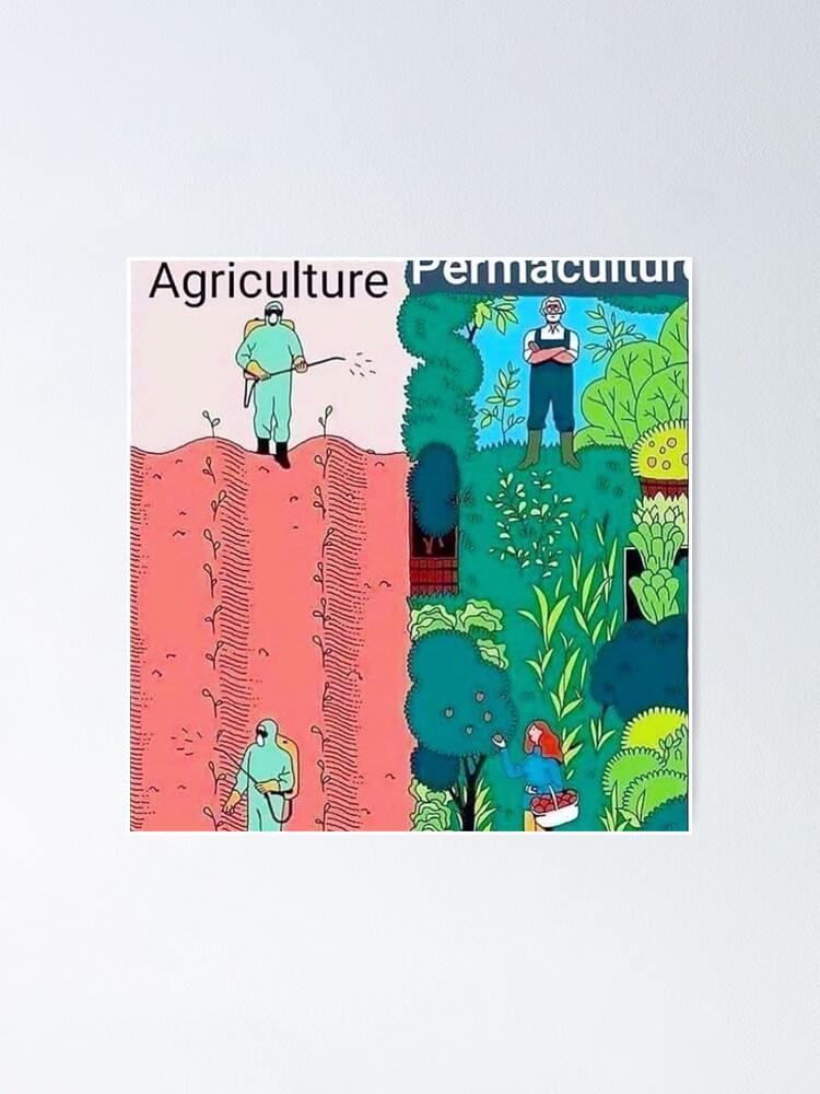 "Agriculture vs permaculture " Poster for Sale by SpArtk | Redbubble