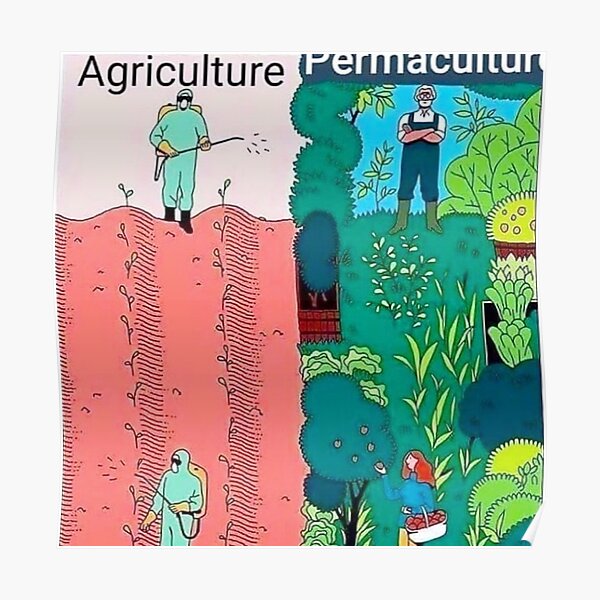 "Agriculture vs permaculture " Poster for Sale by SpArtk | Redbubble