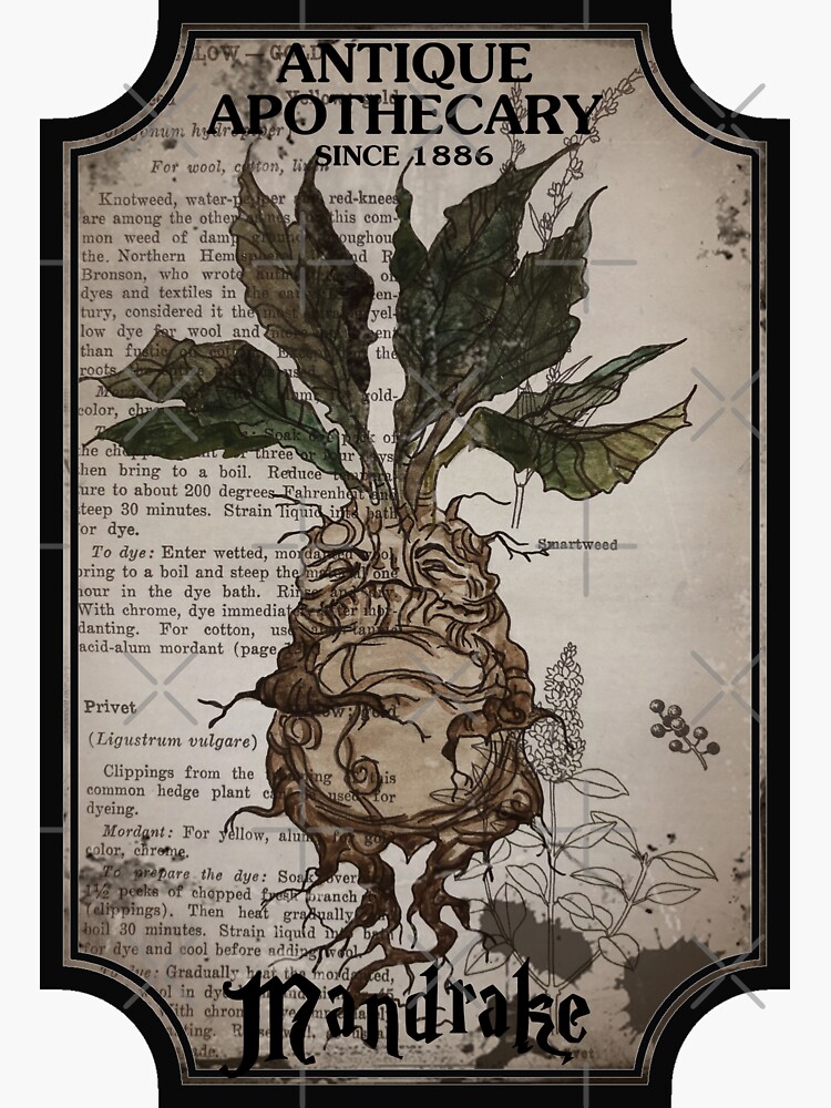"MANDRAKE APOTHECARY LABEL" Sticker for Sale by wadee | Redbubble