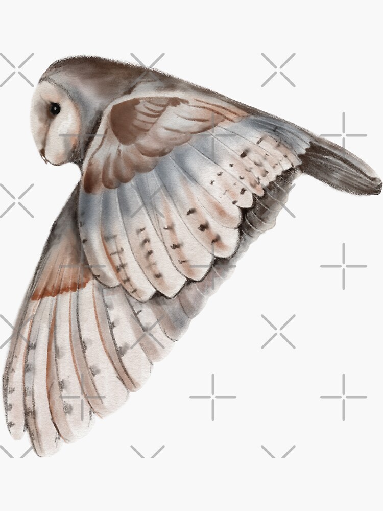 "Barn Owl Sticker" Sticker for Sale by jaymiekinns | Redbubble