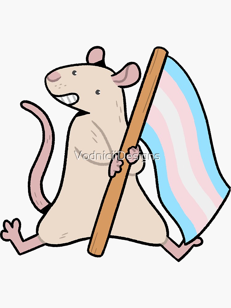 "Pride Rat Trans" Sticker by VodniciiDesigns | Redbubble