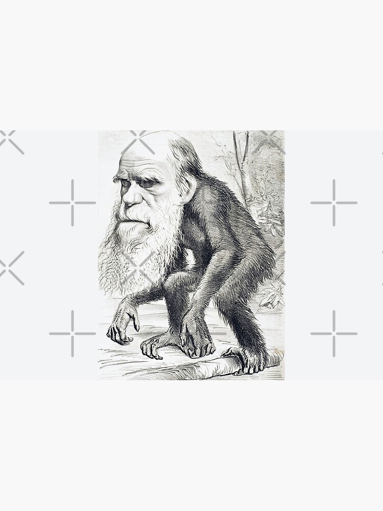 ""A Venerable Orang-outang", a caricature of Charles Darwin as an ape ...